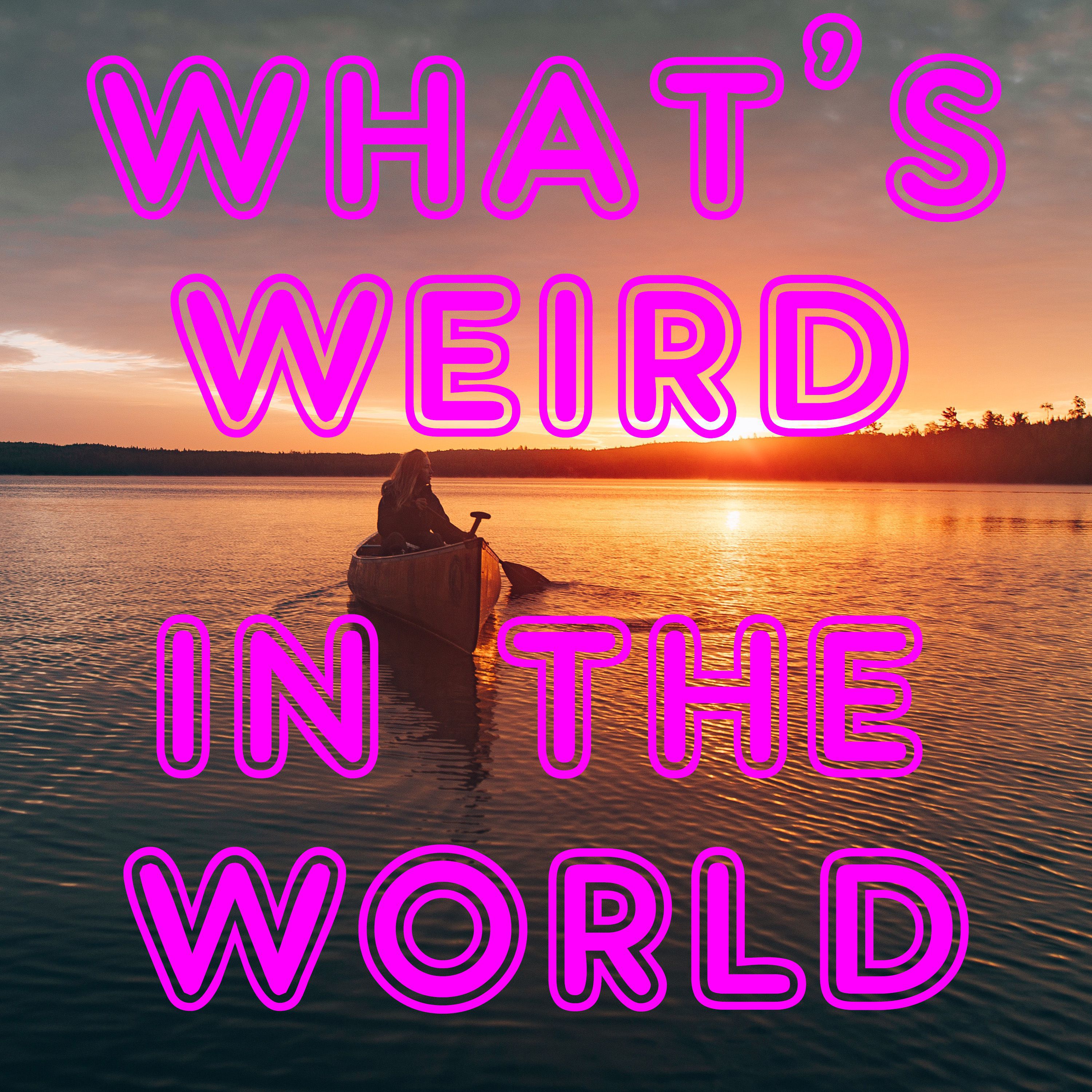 What's Weird In The World | PodServe.fm
